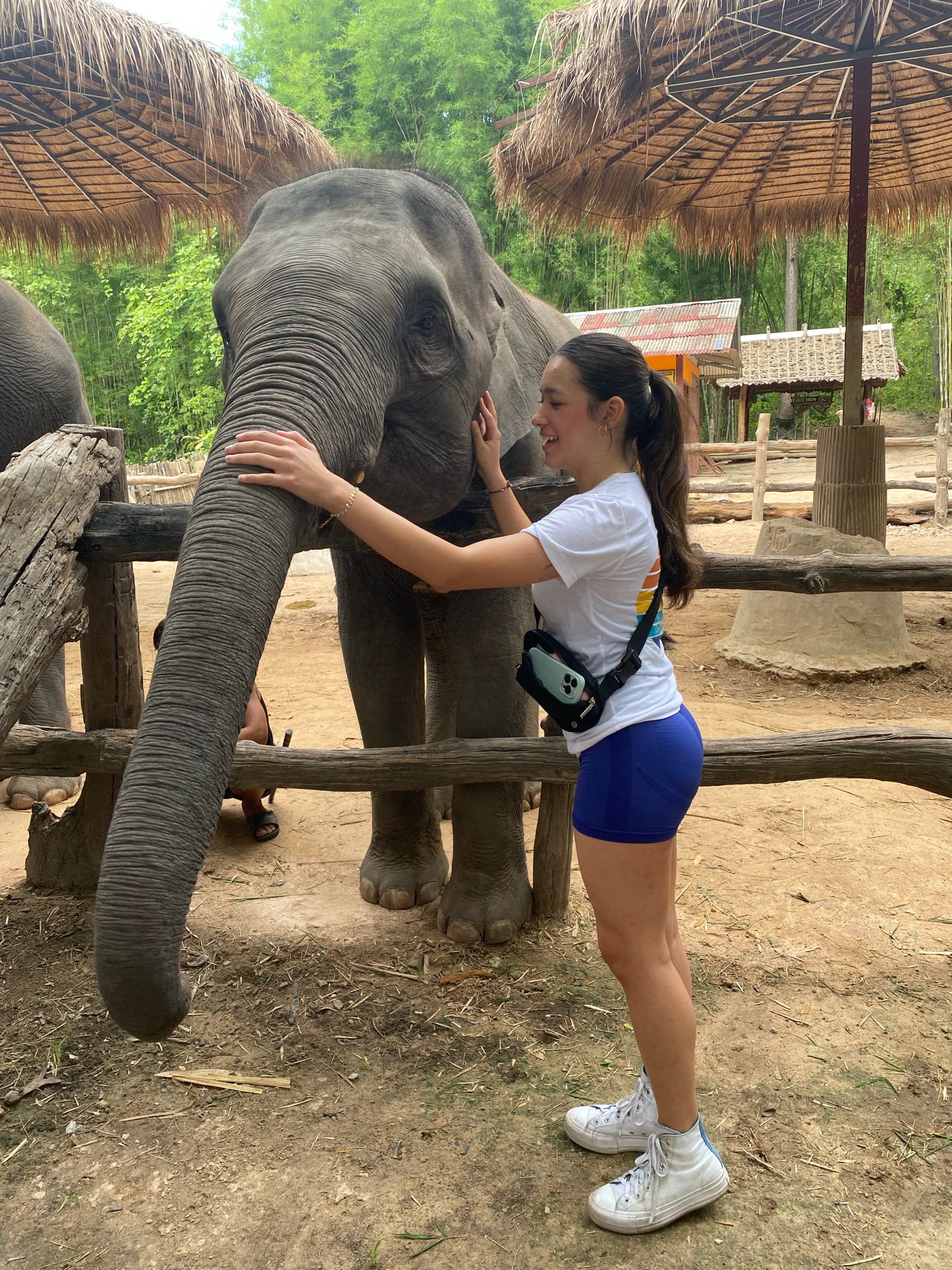 Pre-Physical Therapy(PT) & Occupational Therapy(OT) Program