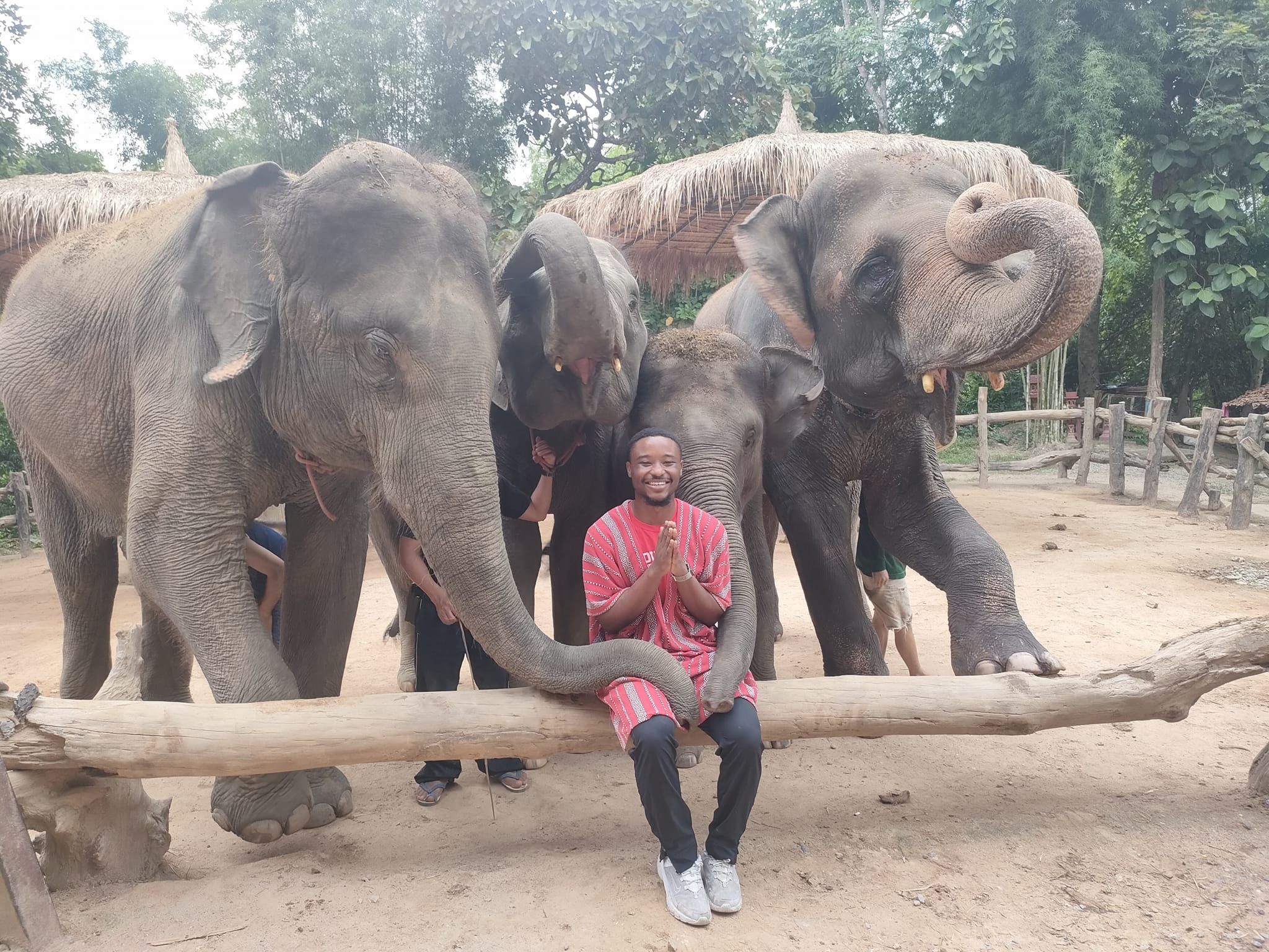 Pre-Physical Therapy(PT) & Occupational Therapy(OT) Program